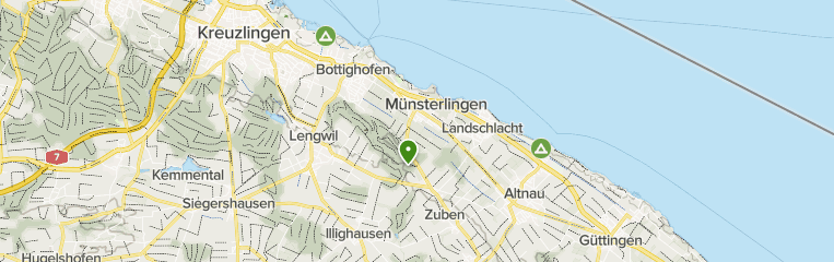 Best Hikes and Trails in Scherzingen | AllTrails