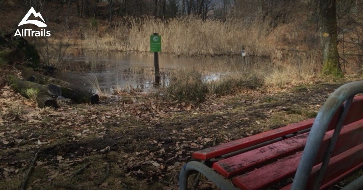 Best hikes and trails in Losone | AllTrails