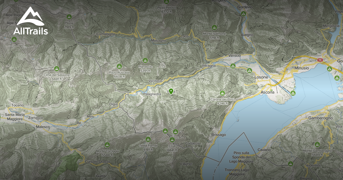 Best forest trails in Rasa | AllTrails