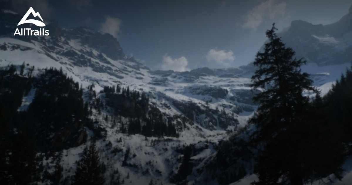 2023 Best 10 Forest Trails in Isenthal | AllTrails