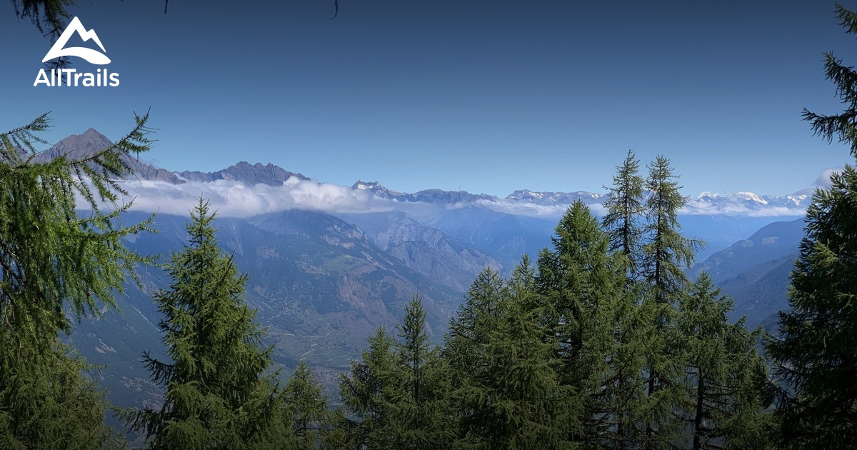 Champex-Lac : les 10 meilleures randonnées et itinéraires | AllTrails