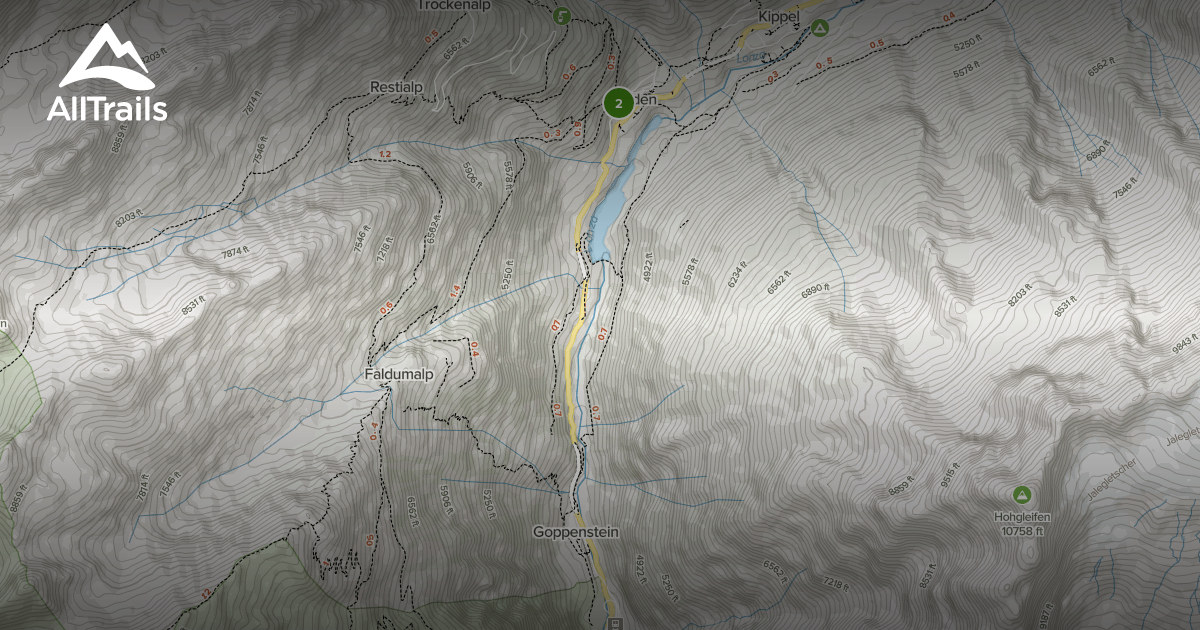 2023 Best Forest Trails in Ferden | AllTrails