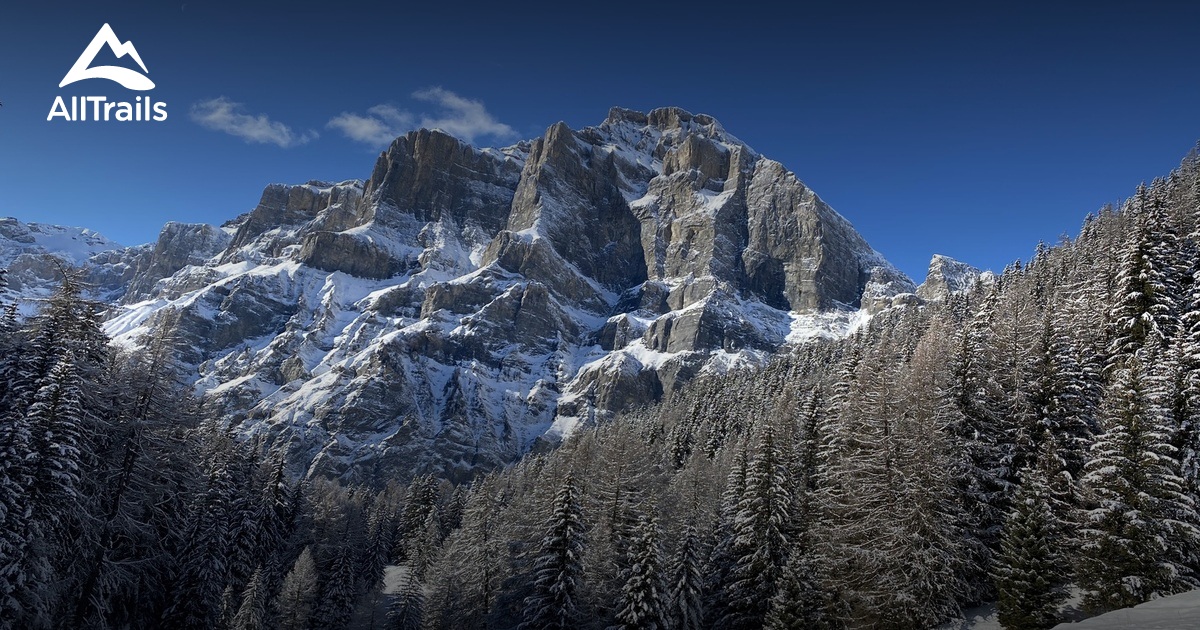 Best River Trails in Gampel | AllTrails