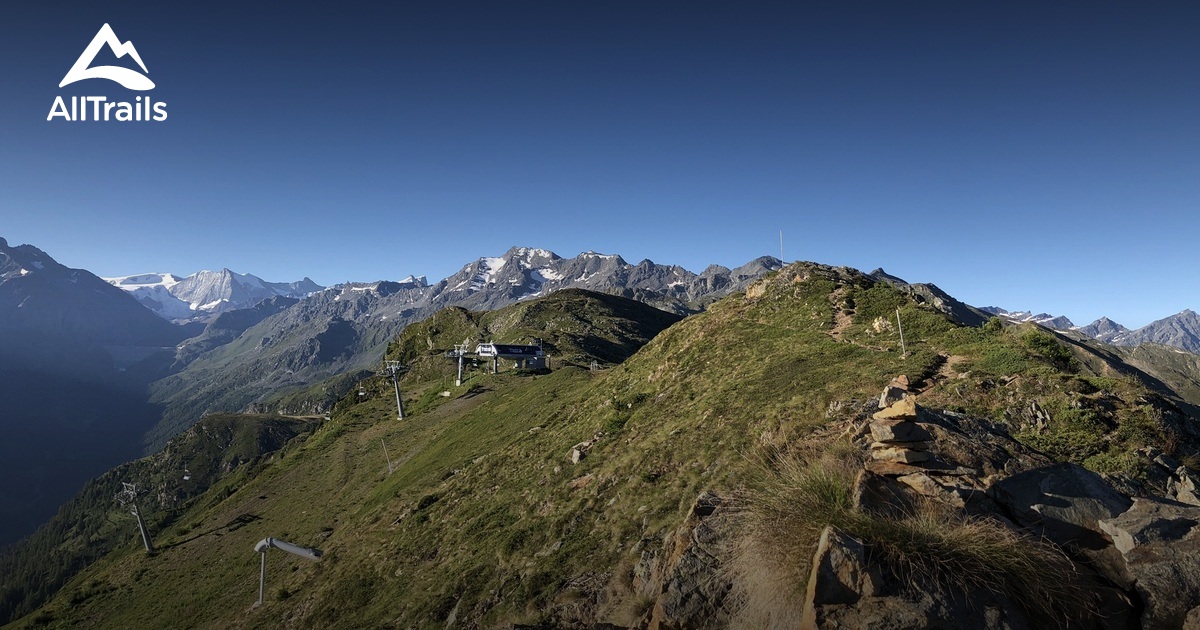 Best forest trails in Thyon-Les Collons | AllTrails