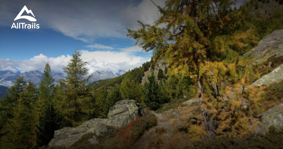 Visperterminen : les 10 meilleures randonnées et itinéraires | AllTrails