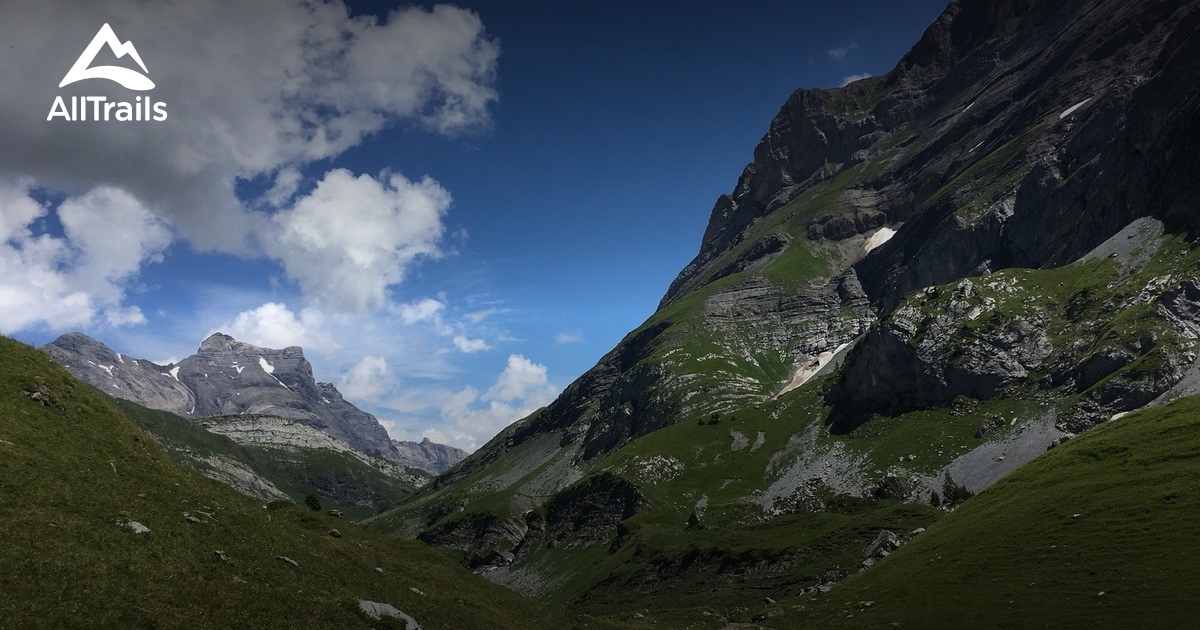 Best forest trails in Bex | AllTrails