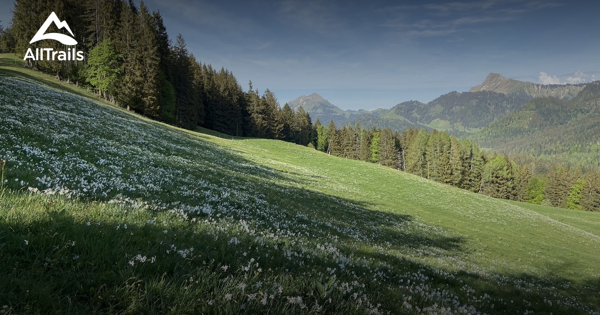 10 Best trails and hikes in Blonay | AllTrails
