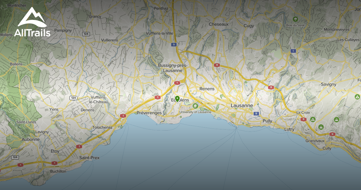 Best hikes and trails in Ecublens | AllTrails