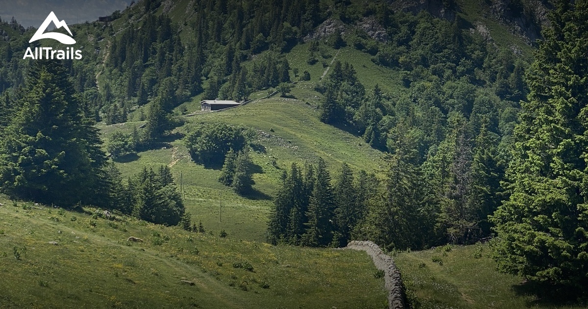 Best long trails in Gingins | AllTrails
