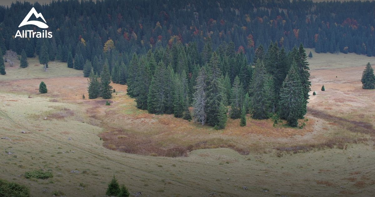 Die Besten moderaten Routen in La Cure | AllTrails