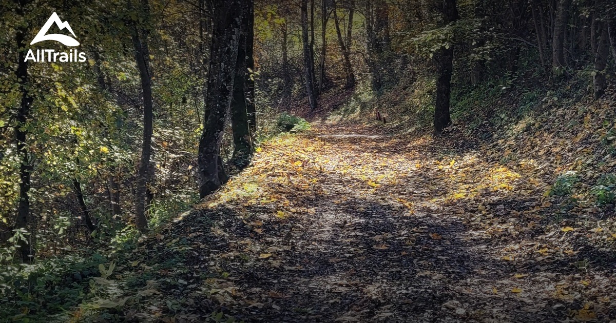 Les Monts-de-Corsier : les meilleures randonnées et itinéraires | AllTrails