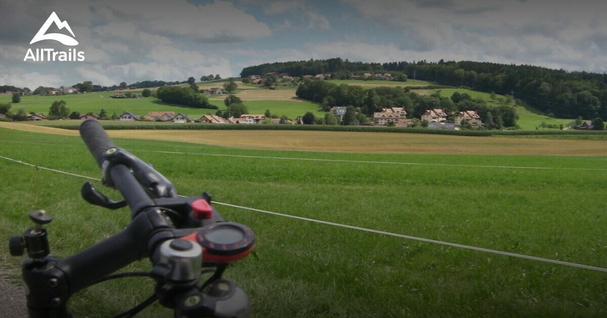 Best forest trails in Oron | AllTrails