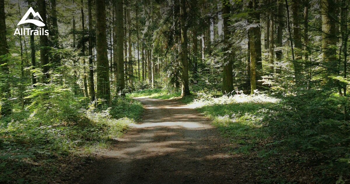 Best hikes and trails in Oron-le-Châtel | AllTrails