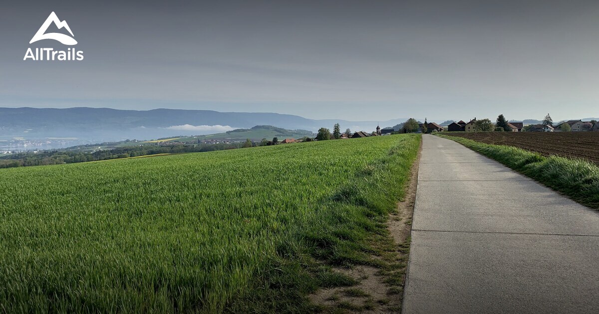 2023 Best Trails In Pomy Alltrails