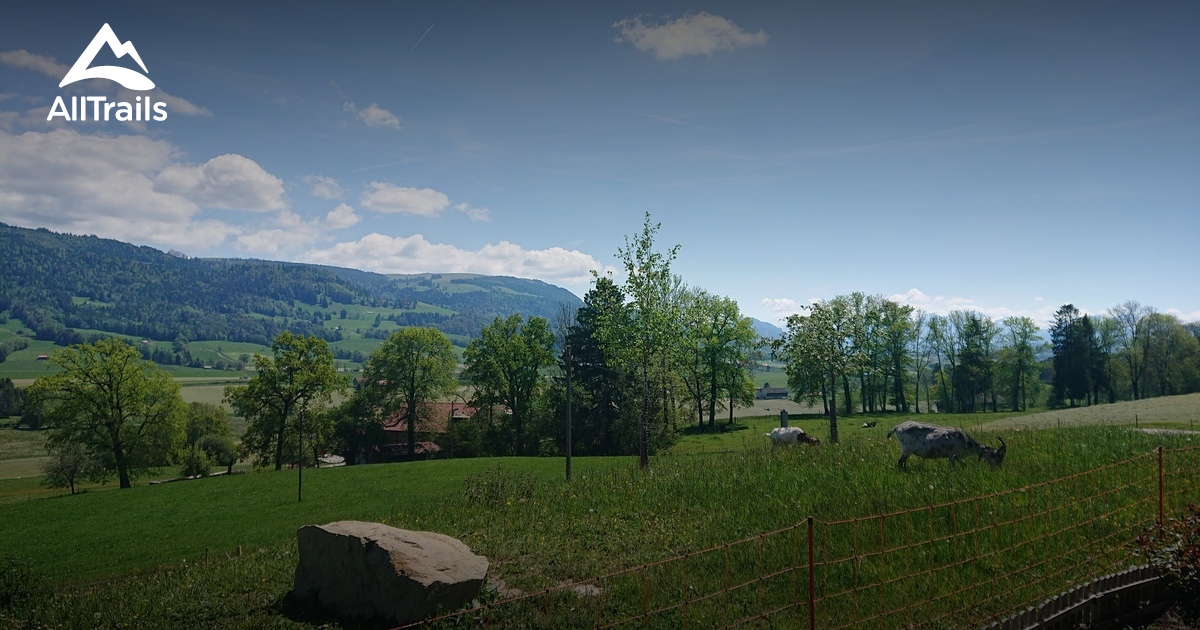 Best hikes and trails in Puidoux | AllTrails