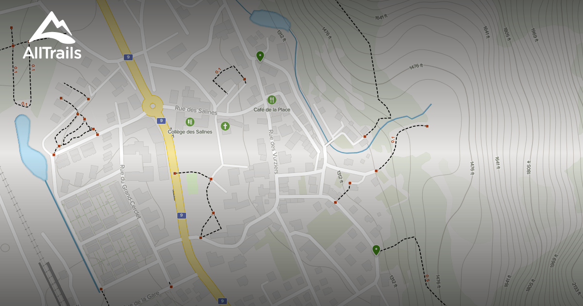 Best forest trails in Roche | AllTrails