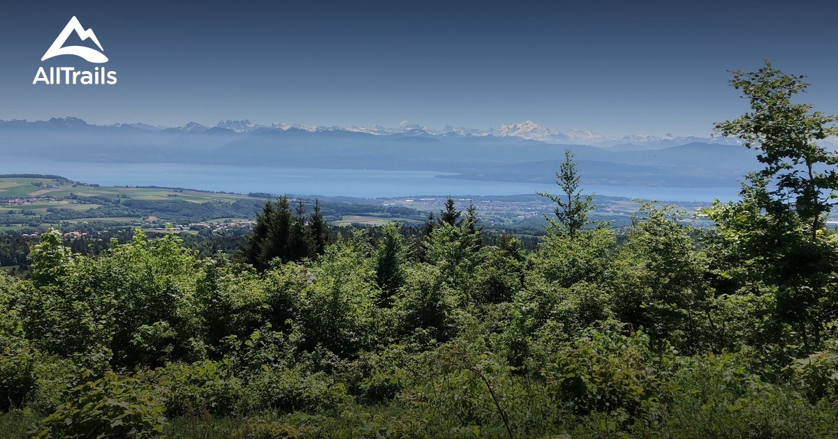 Best Trails, Walks, and Paths in Vich | AllTrails