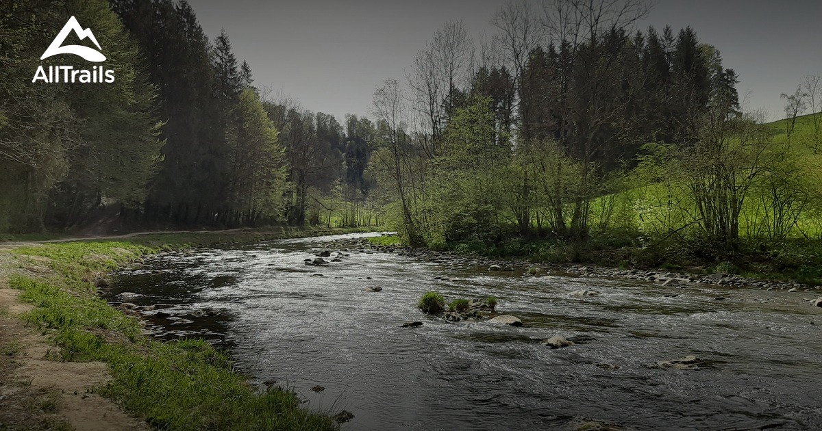 De beste stiene til fosser i Menzingen | AllTrails