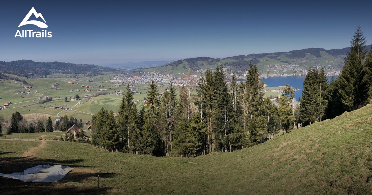 Zugerberg: Die schönsten Routen zum Wandern | AllTrails