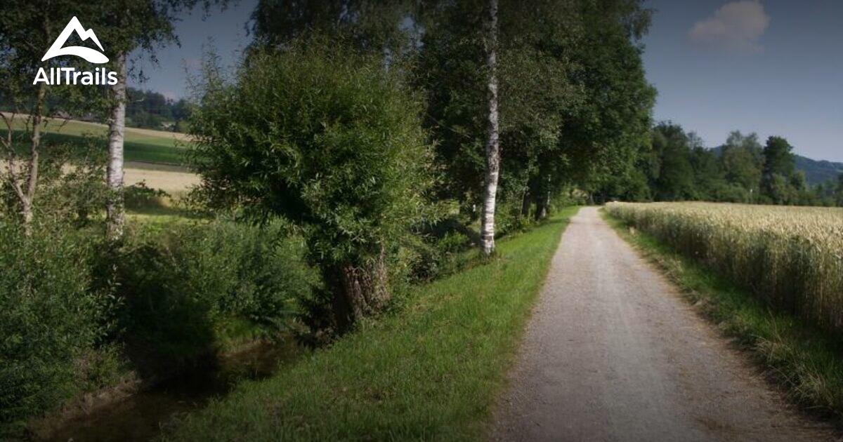 Affoltern am Albis: Die schönsten Routen zum Wandern | AllTrails
