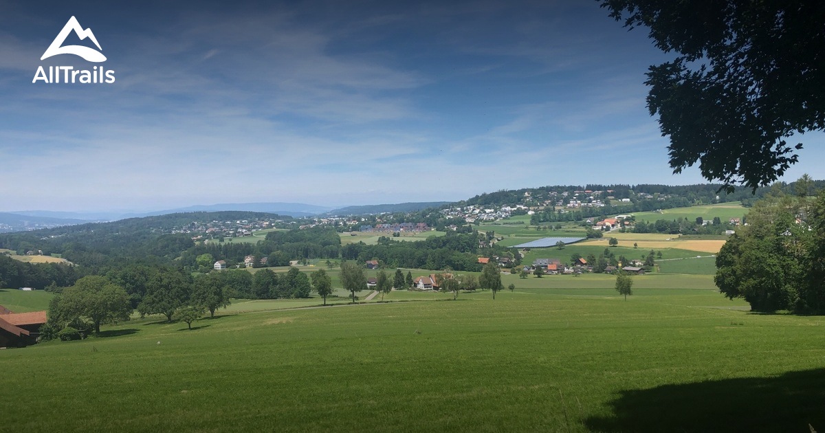 Forch: Die schönsten Routen zum Wandern | AllTrails