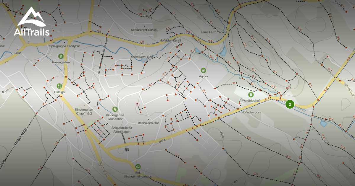 Best hikes and trails in Gossau | AllTrails