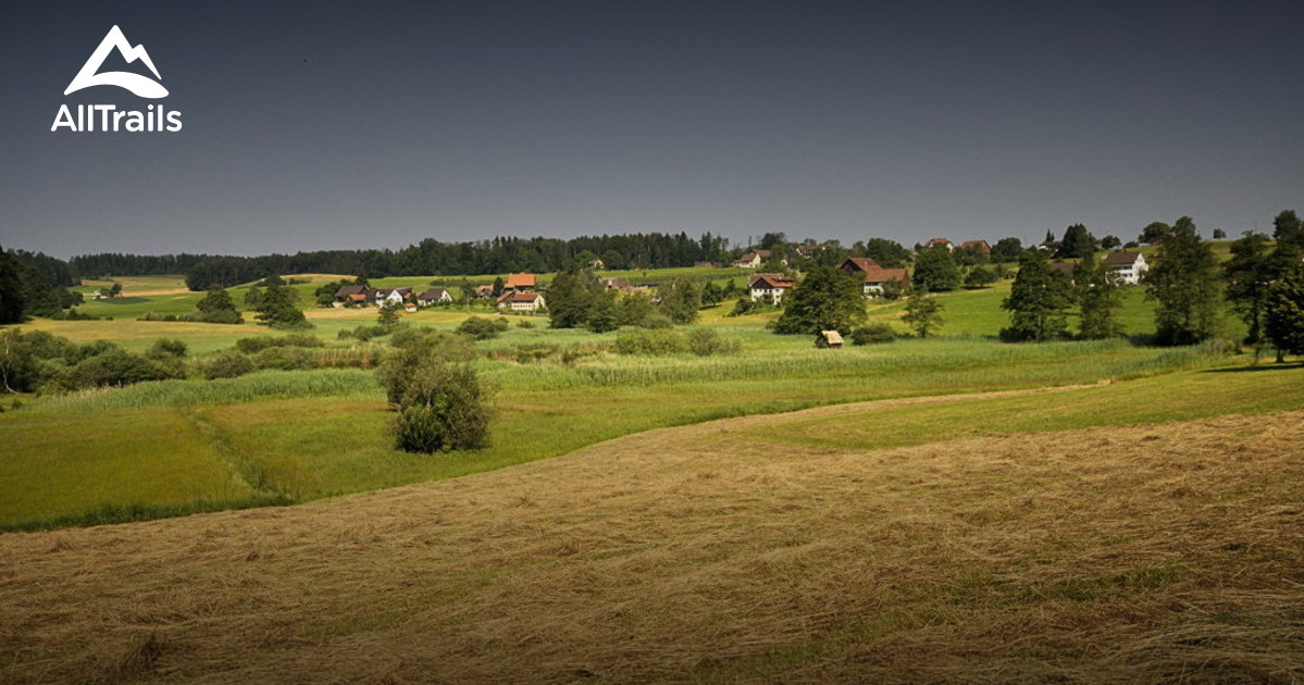 Best long trails in Schwerzenbach | AllTrails