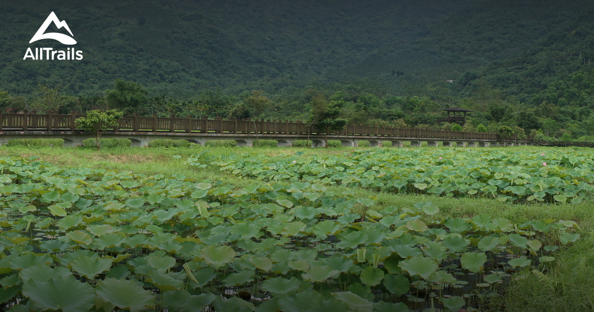 Best hikes and trails in Guangfu | AllTrails