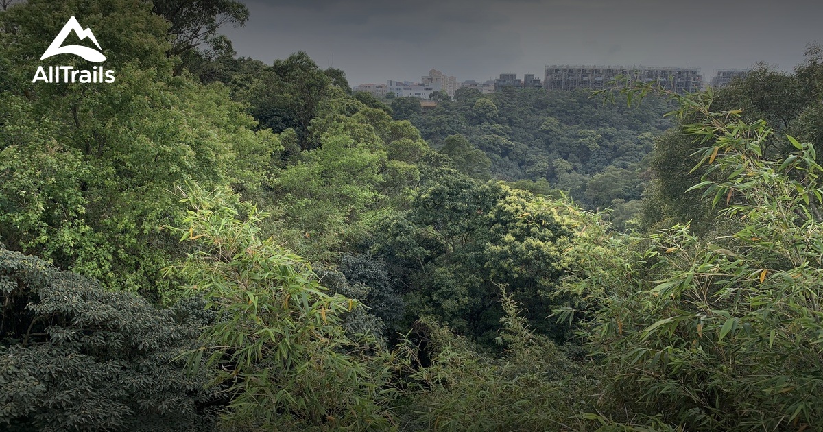 Best hikes and trails in Linkou | AllTrails