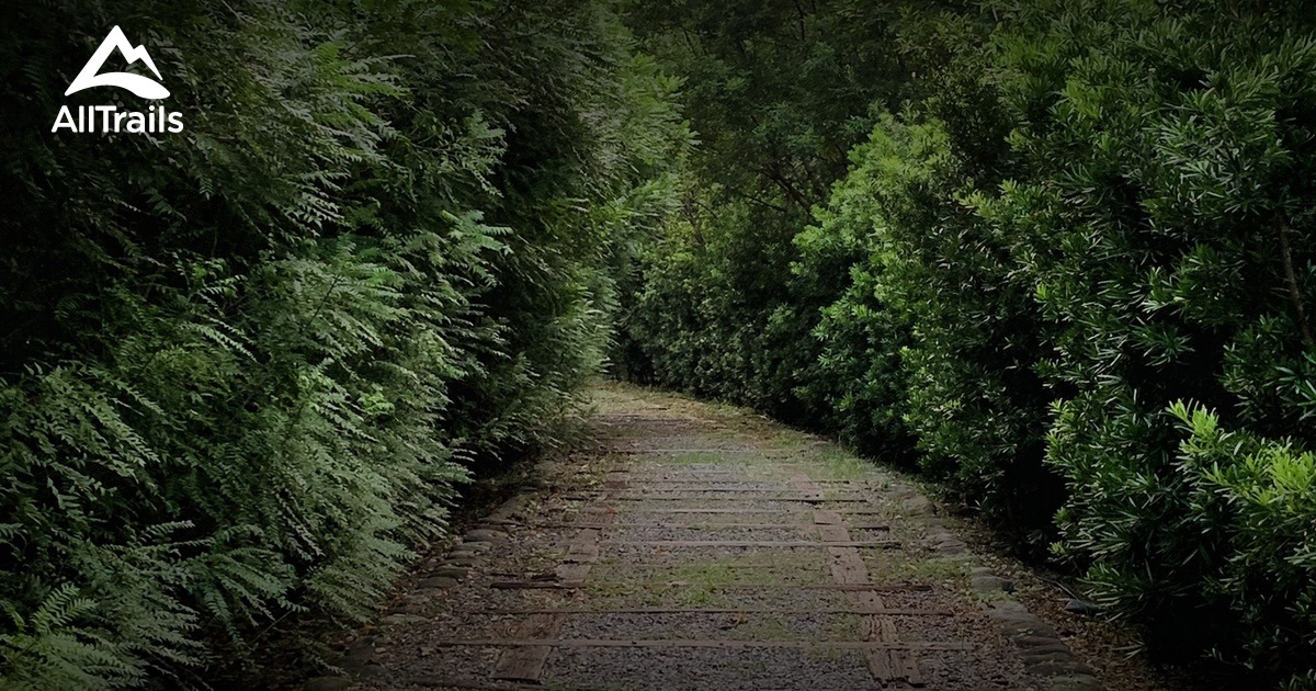 Best walking trails in Chaozhou | AllTrails