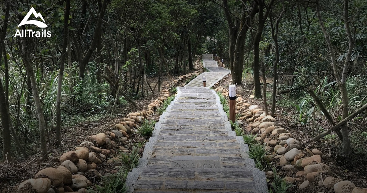 Best hikes and trails in Yangmei | AllTrails