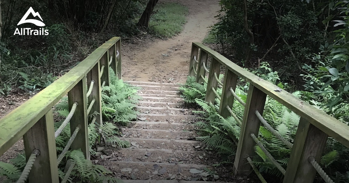 Best hikes and trails in Luzhu | AllTrails