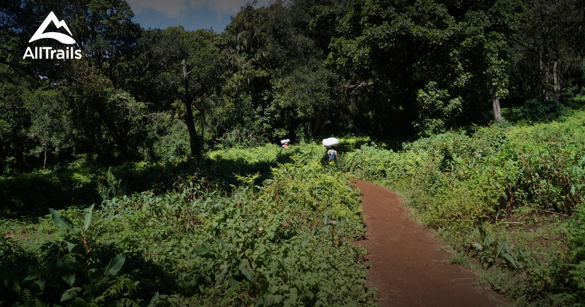 Best hikes and trails in Marangu | AllTrails