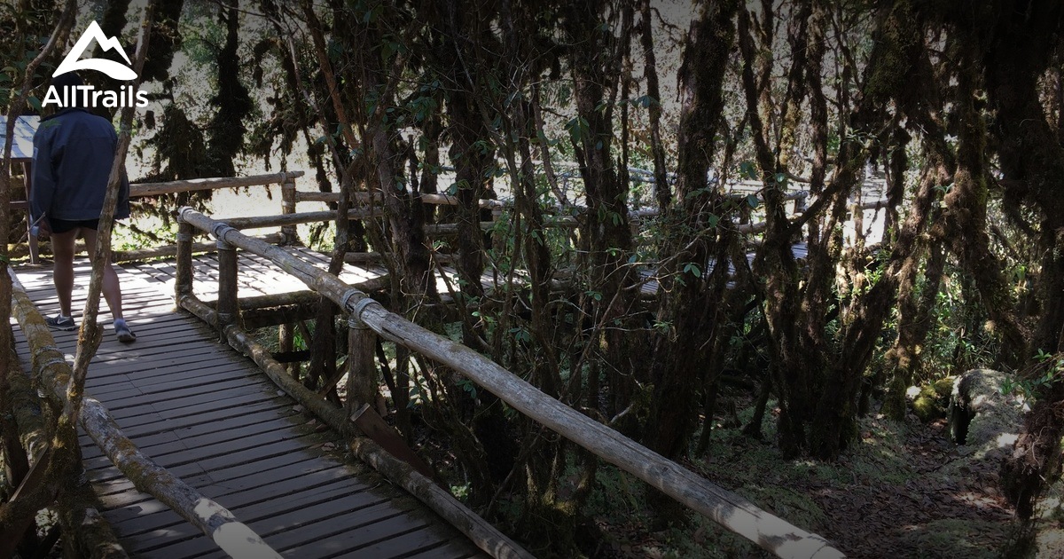 Best hikes and trails in Mae Chaem | AllTrails