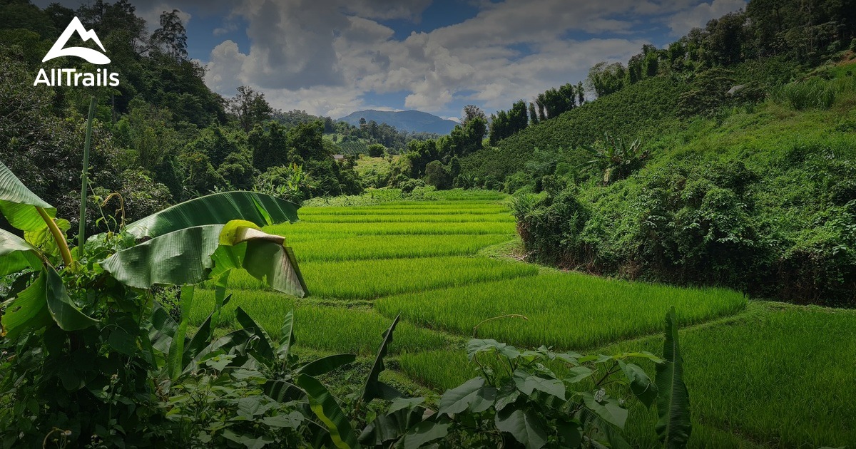 10 Best trails and hikes in Samoeng | AllTrails