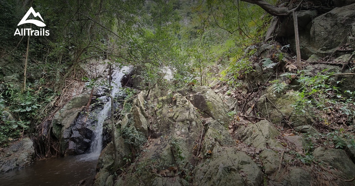 Best hikes and trails in Ban Bueng | AllTrails