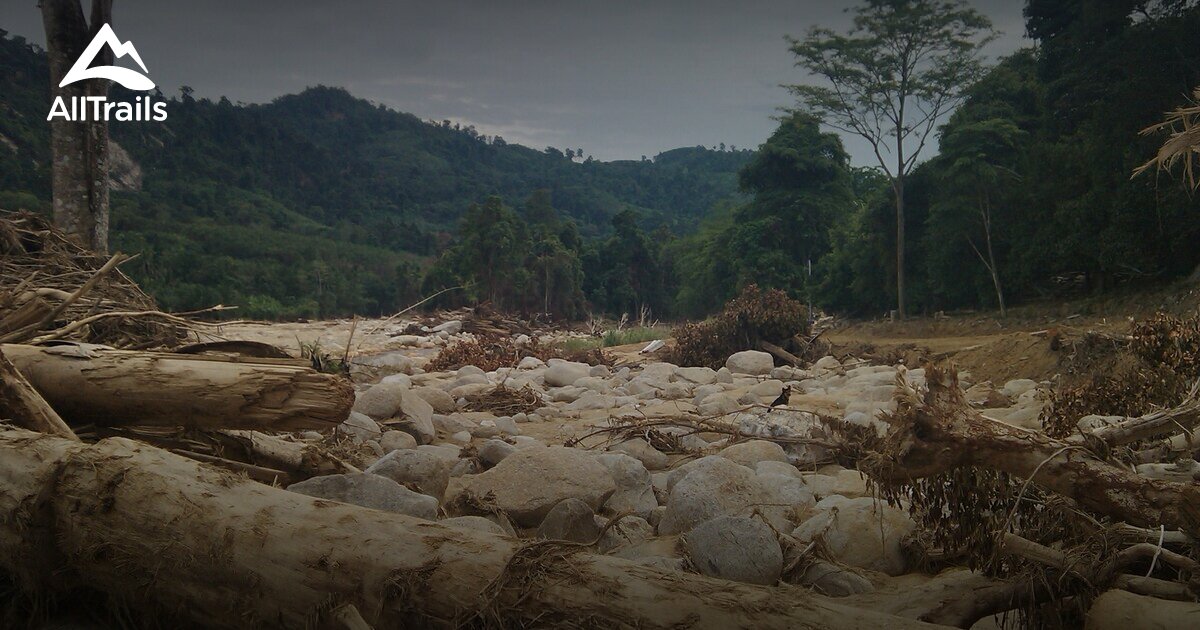 2023 Best River Trails in Sichon | AllTrails