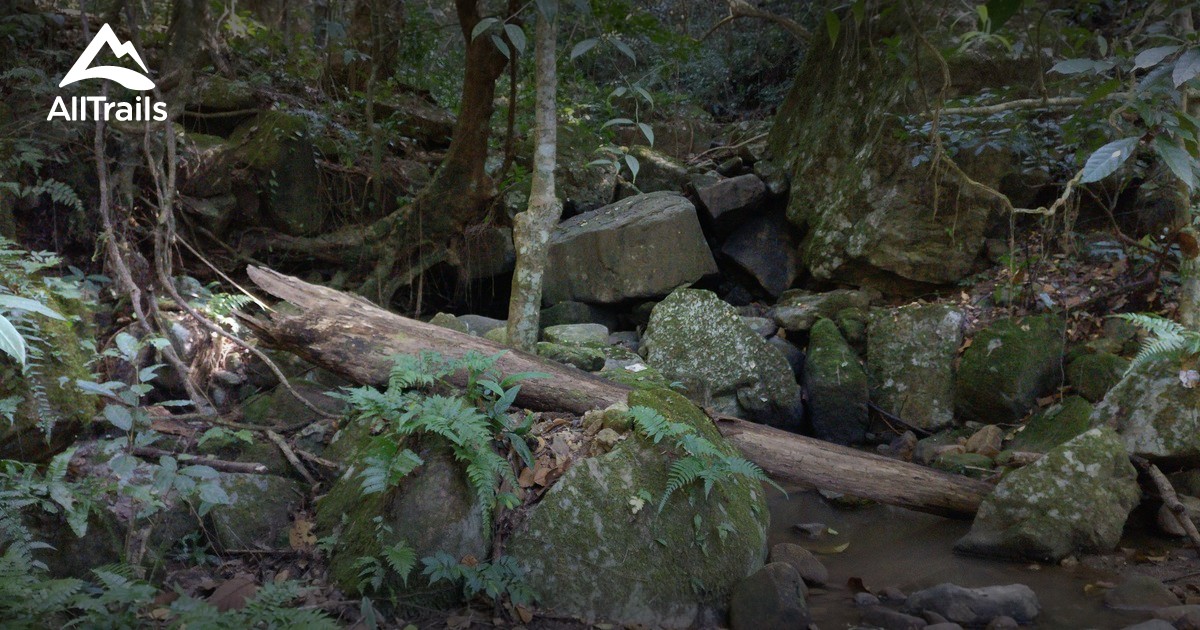 10 Best trails and hikes in Pua | AllTrails