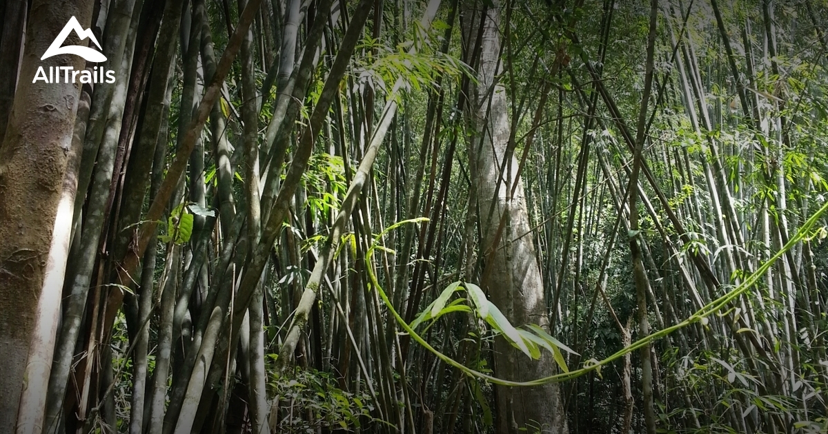 Best hikes and trails in Ban Tan Han | AllTrails