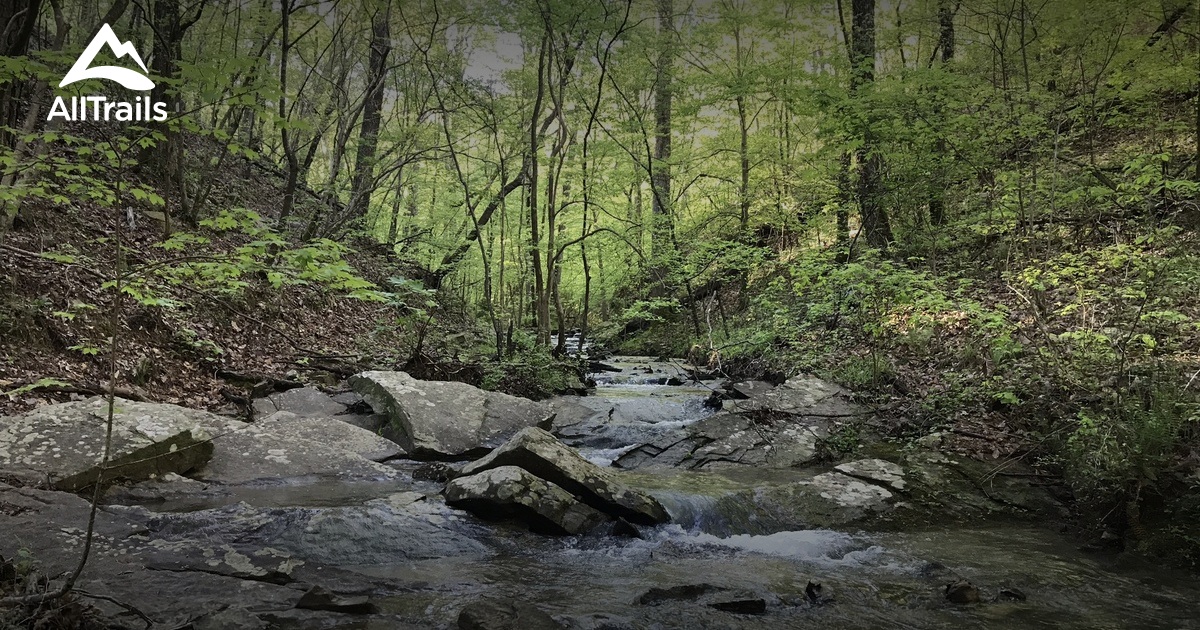 Best hikes and trails in Chelsea | AllTrails
