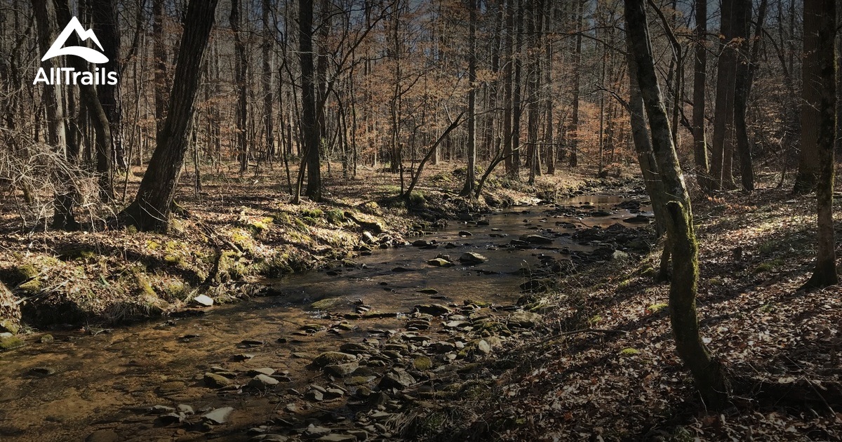 Best hikes and trails in Choccolocco | AllTrails