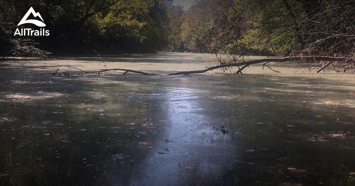 Best hikes and trails in Cordova | AllTrails