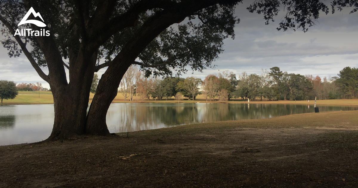 Best walking trails in Cowarts | AllTrails