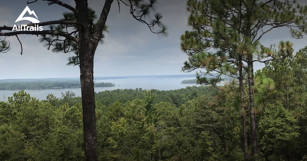 Best hikes and trails in Eclectic | AllTrails