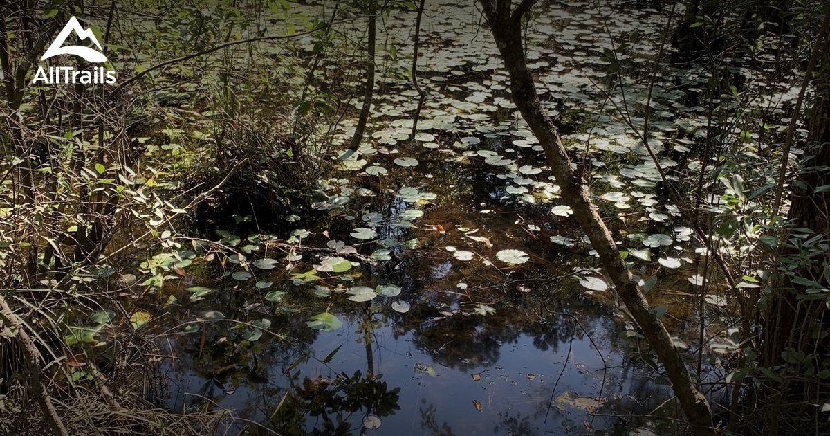 Best hikes and trails in Eight Mile | AllTrails