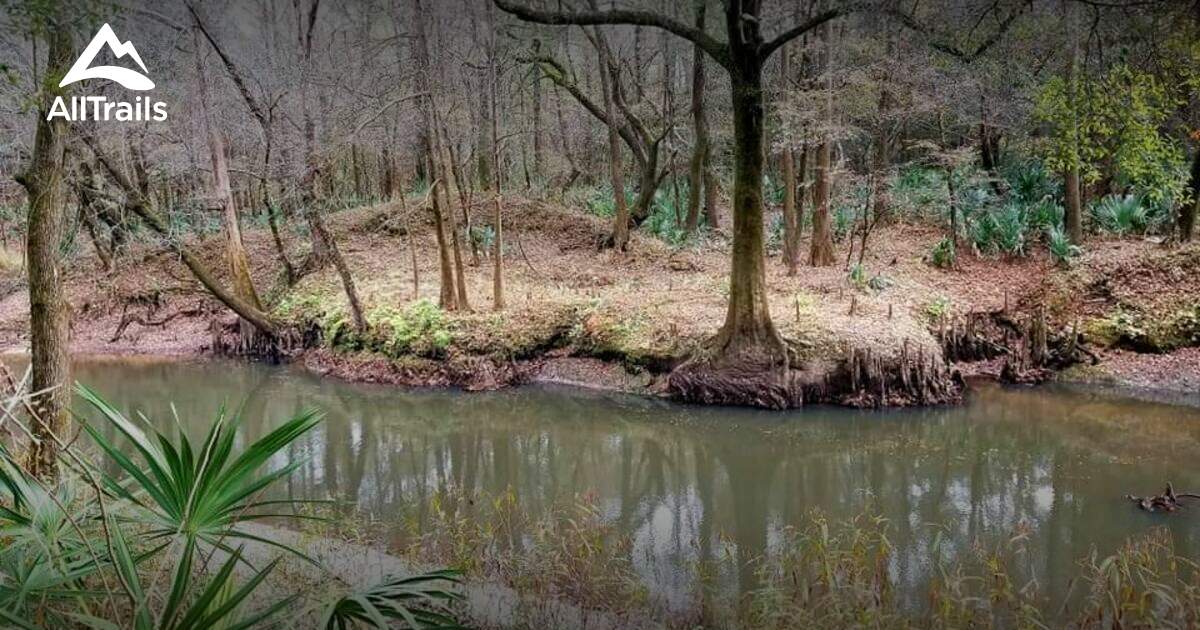 Best forest trails in Geneva | AllTrails