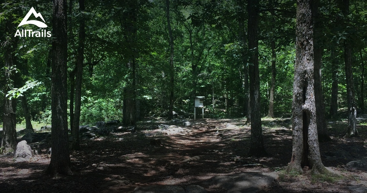 Best views trails in Hayden | AllTrails