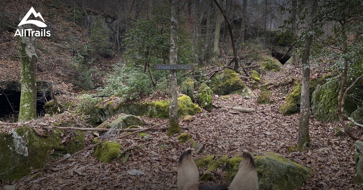 Best horseback riding trails in Hodges | AllTrails