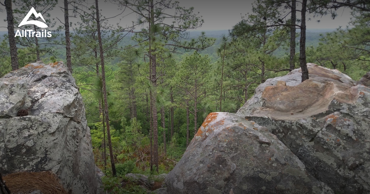 Best hikes and trails in Kent | AllTrails