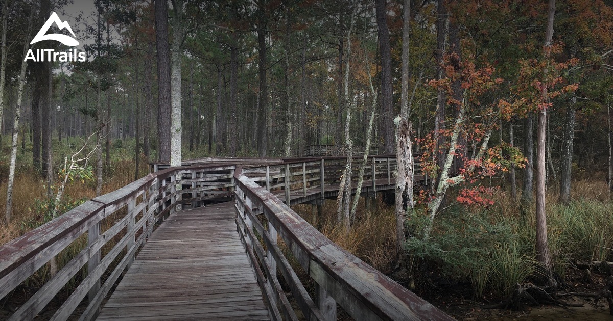 Best hikes and trails in Magnolia Springs | AllTrails